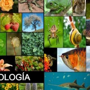 Biología Trivias Juego educativo Biología Mobbyt