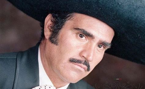 Cuándo y dónde ver la serie El Rey de Vicente Fernández