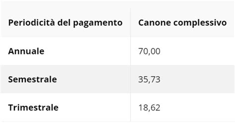 Canone Rai Importo 2024 Scende A 70 Euro Nuovi Abbonamenti Rate E