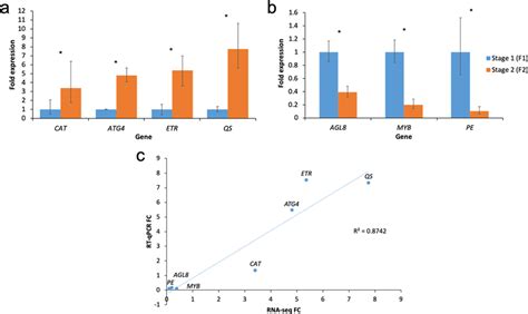 RT QPCR Analysis On The Fold Change Of Expression Level At F2 Relative