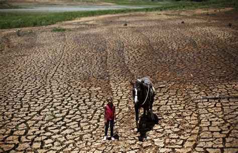La Jornada Maya Internacional Reuters Sequía en Brasil causa el