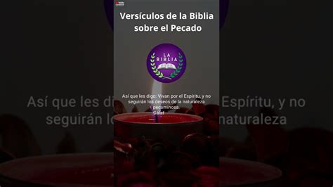 Vers Culos Sobre El Pecado Shorts Short Reina Valera Fortalecetufe