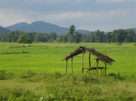Indian Agriculture Wallpapers Wallpaper Cave