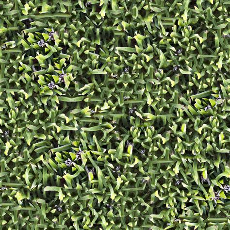 Seamless Green Grass Ground Texture 3196353 Stock Photo At Vecteezy