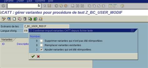 Utilisation De L Outil Sap Catt Sap Technique Programmation Abap
