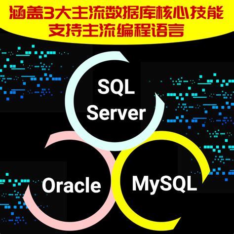 sql即查即用 sql必知必会 sql从入门到精通 sql基础教程 sql数据库技术书籍 sql语言高性能sql数据库即学实用进阶实战教程书籍 虎窝淘