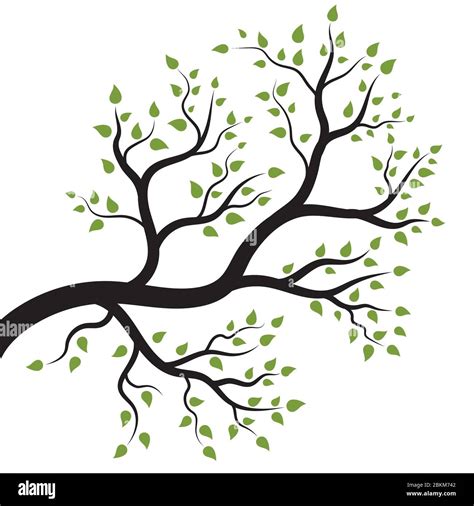 Tree Branch Vector Illustration Design Template Stock Vector Image