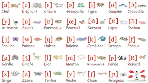 L Alphabet Phonetique Learn French French Flashcards French Articles