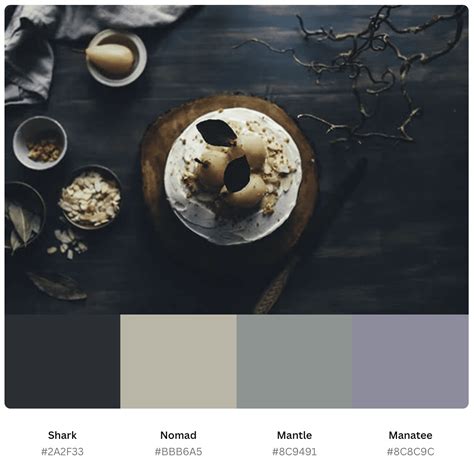 Combinaisons De Couleurs Inspirantes G N Rateur De Palettes De