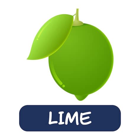 Premium Vector Cartoon Lime Fruit Vector Isolated On White Background