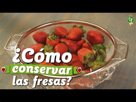 Como Cuidar Las Fresas Serviplan
