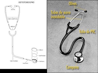 Medicina Partes De Un Estetoscopio