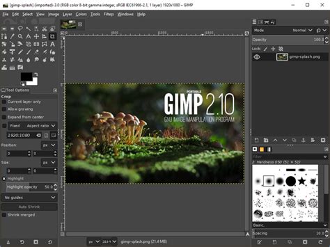 Les 8 Meilleurs Logiciels Gratuits Pour Du Graphisme En 2020