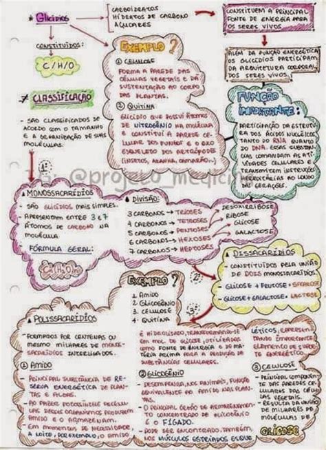 Introdução A Bioquimica Mapa Mental MAPA META