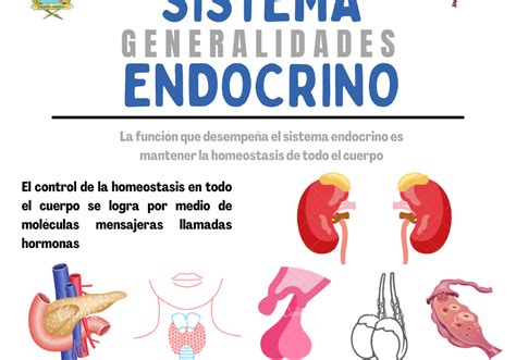 Generalidades Del Sistema Endocrino