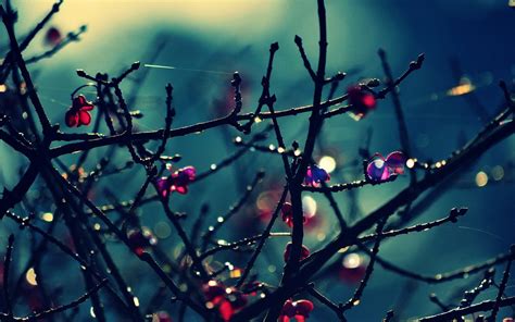 Winter Glitter Wallpapers Wallpaper Cave