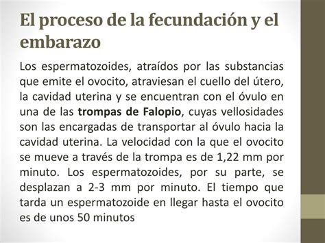 PPT El proceso de la fecundación y el embarazo PowerPoint