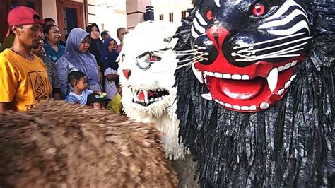 Ini Seru Macan Ba Lakek Diiringi Drumband Ba Lakek Joget Joget Joget