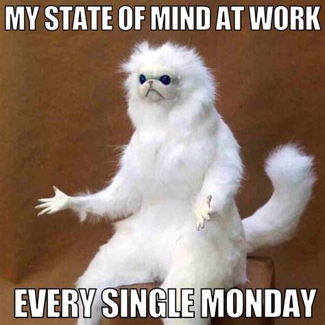 Best Monday Memes For Work To Kickstart Your Workweek