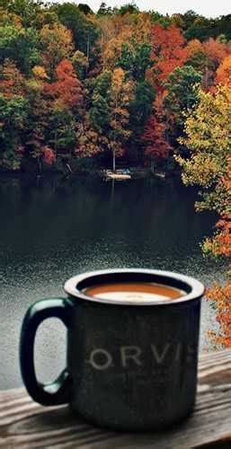 Cozy Autumn Aesthetic Wallpaper Wallpaper Sun