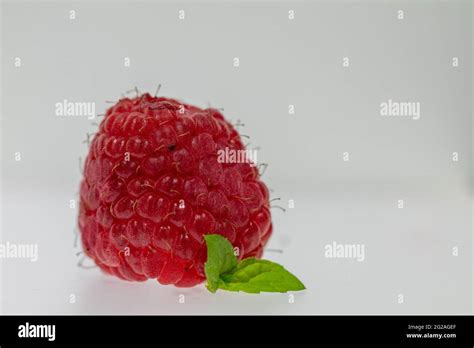 Lampone Rosso Immagini E Fotos Stock Alamy