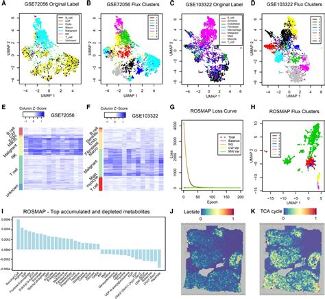 a graph neural network model to estimate cell wise metabolic flux using single cell rna seq data