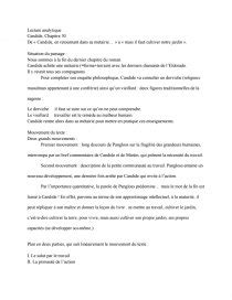 Dissertation Candide Chapitre 30 Telegraph