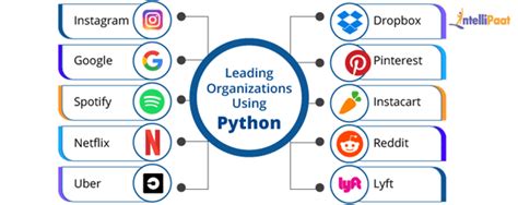 How To Build A Career As A Python Developer Intellipaat Blog