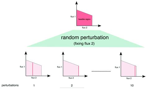 perturbation procedure to determine the robustness of fba fva outcome download scientific