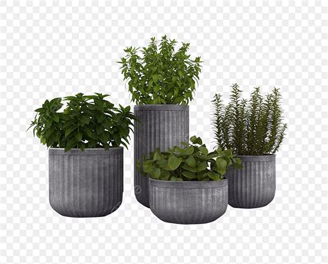 Plant Pots Hd Transparent Plant Pot Plant Potted Plants Clear PNG