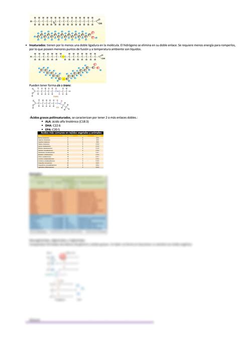 SOLUTION L Pidos Funciones Caracter Sticas Y Diferencias Studypool