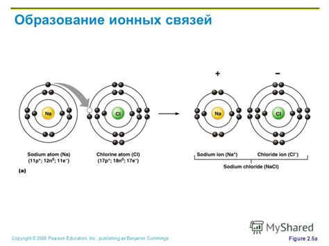 Презентация на тему Copyright 2006 Pearson Education Inc