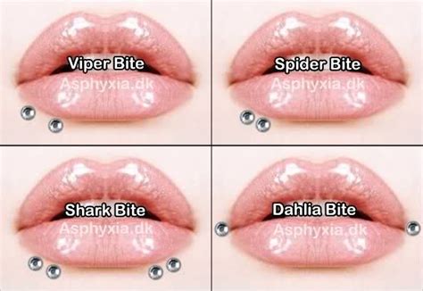 Spider Bite Piercing The Complete Experience Guide With Meaning