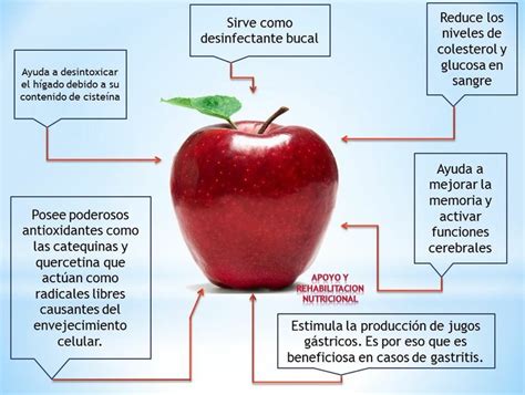 Conoce Las Propiedades De La Manzana Apple Fruit Food