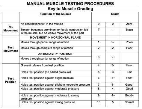 Manual Muscle Test Grades