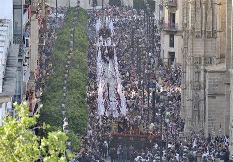 Hermandades del Domingo de Ramos en Sevilla Descubre la Tradición