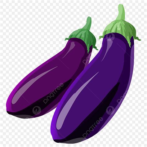 Eggplant Clipart Transparent PNG Hd Two Long Eggplant Illustration