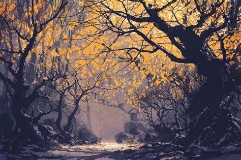 秋天的森林夜景山水画插画图片下载 正版图片503632589 摄图网