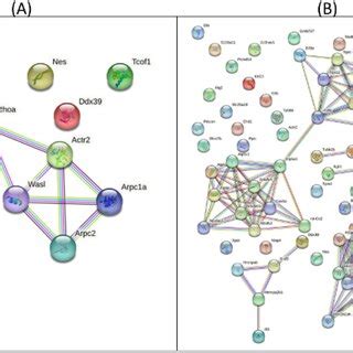 Proteinprotein Interaction Map Of Fold Proteins Expressed In Cm