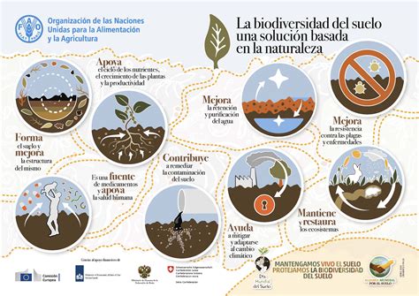 Día Mundial del Suelo 2020 IUCA Instituto Universitario de Ciencias