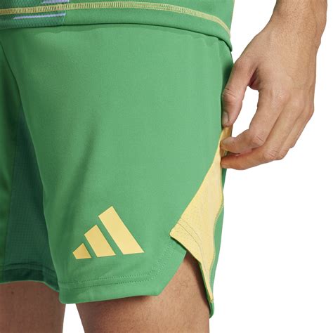 Torwart Shorts Adidas Tiro 24 Pro Shorts Bekleidung Torwarte