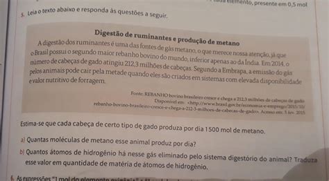 Leia O Texto E Responda As Questões Texto Exemplo