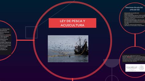LEY DE PESCA Y ACUICULTURA By Mirna Marquez On Prezi