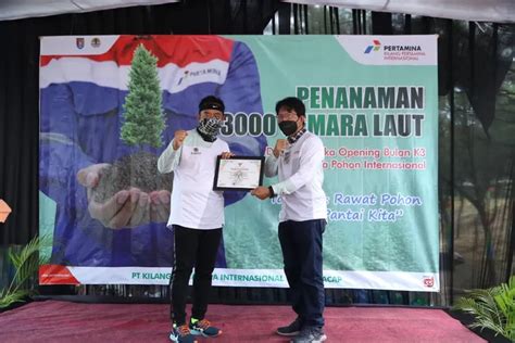 Pertamina Cilacap Tanamkan 3000 Pohon Cemara Hindari Abrasi Dan Tsunami