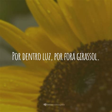 Frases De Girassol Para Deixar Que A Luz Guie Seus Passos