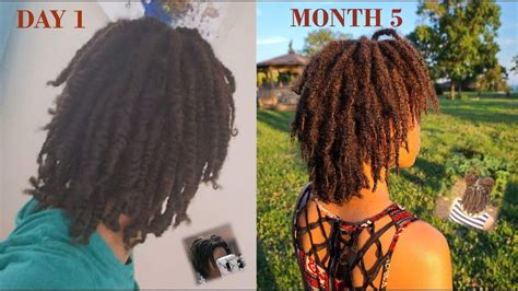 5 Month Visual Loc Journey Lots Of Pictures And Videos Two Strand