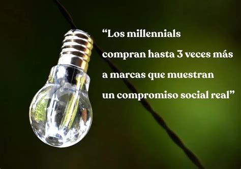 Sostenibilidad Empresarial Y El Marketing Verde Sheedo Studio