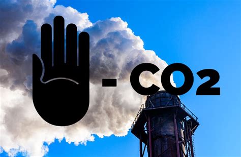 6 Consejos Para Reducir Las Emisiones De CO2 Biowatio