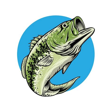 Bass Fisch Vektorgrafiken Premium Vektor