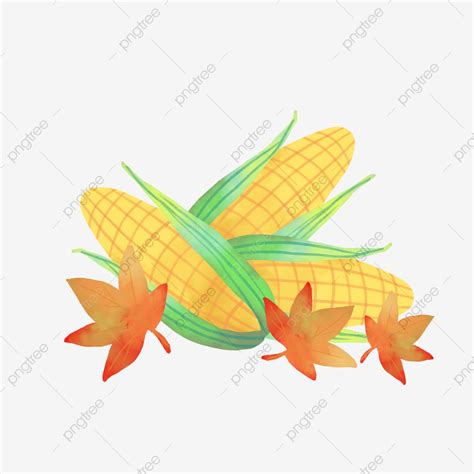 Hojas De Cosecha De Otoño Temprano PNG Otoño Otoño De Oro Temporada